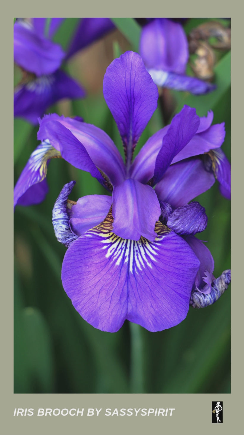 Iris Brooch – Sassy Spirit